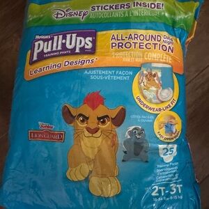 Disney | Other | Disney Pullups 2t3t Diaperstraining Pants | Poshmark